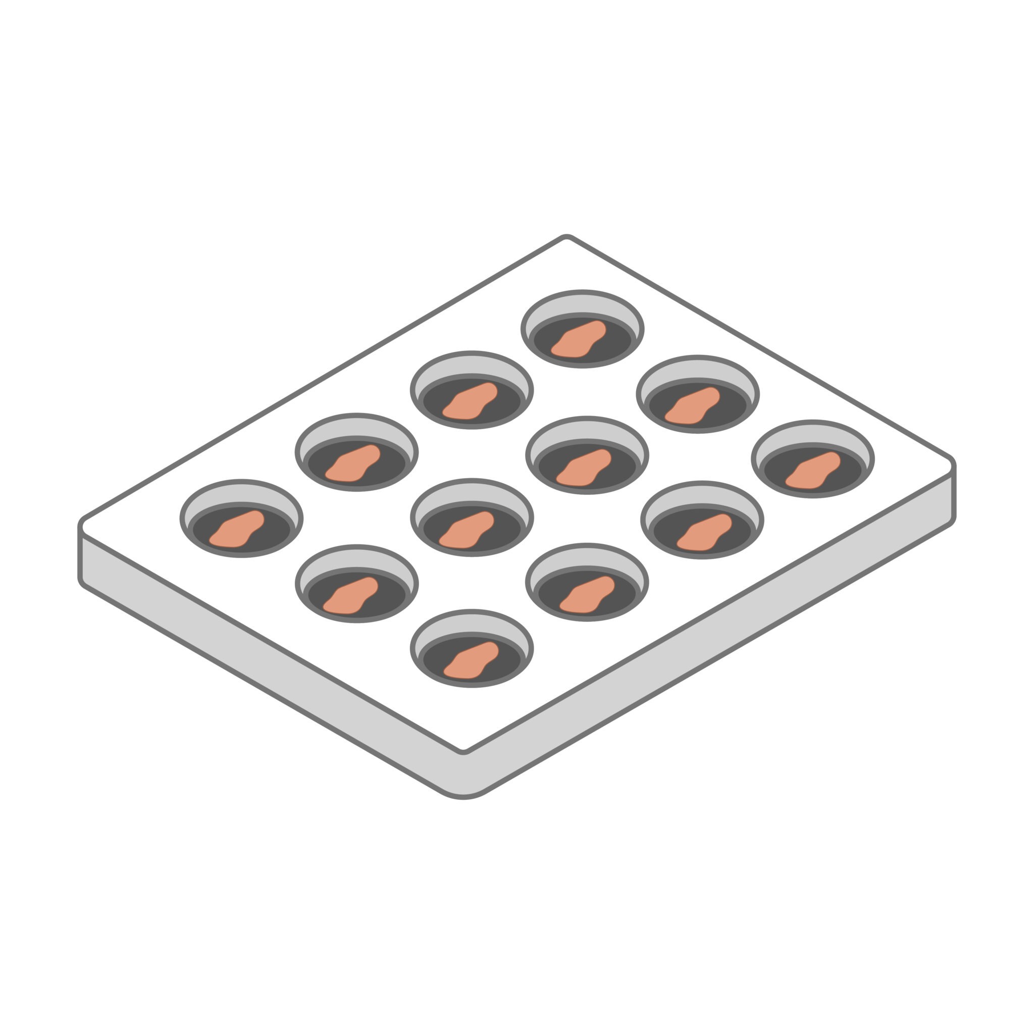 Products | Stellaromics Inc