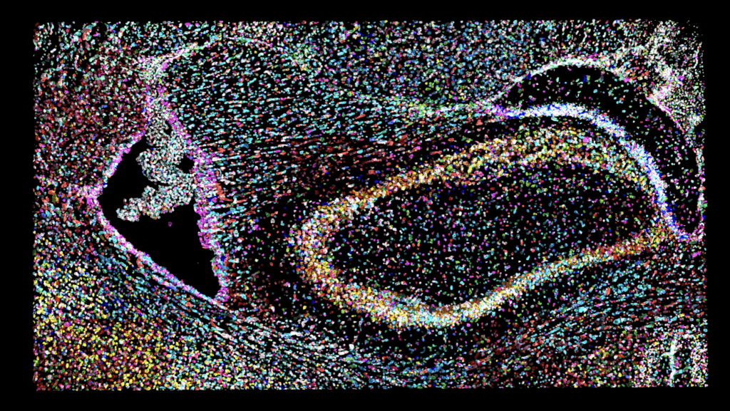 Services | Stellaromics Inc