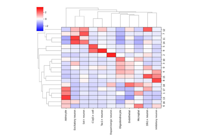 Services | Stellaromics Inc
