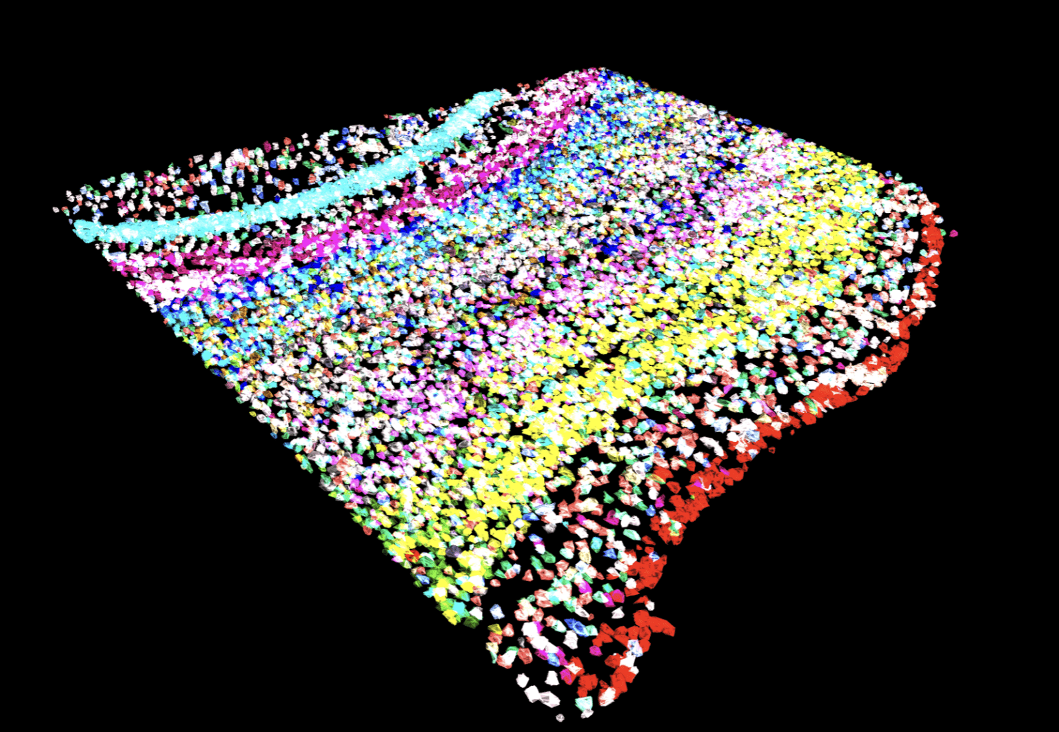 Services | Stellaromics Inc