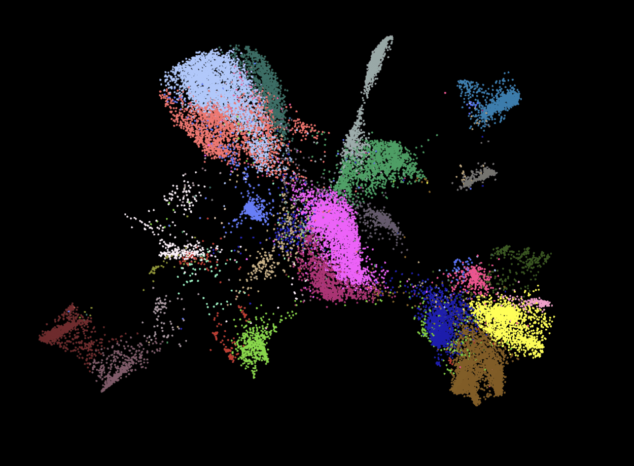 Services | Stellaromics Inc